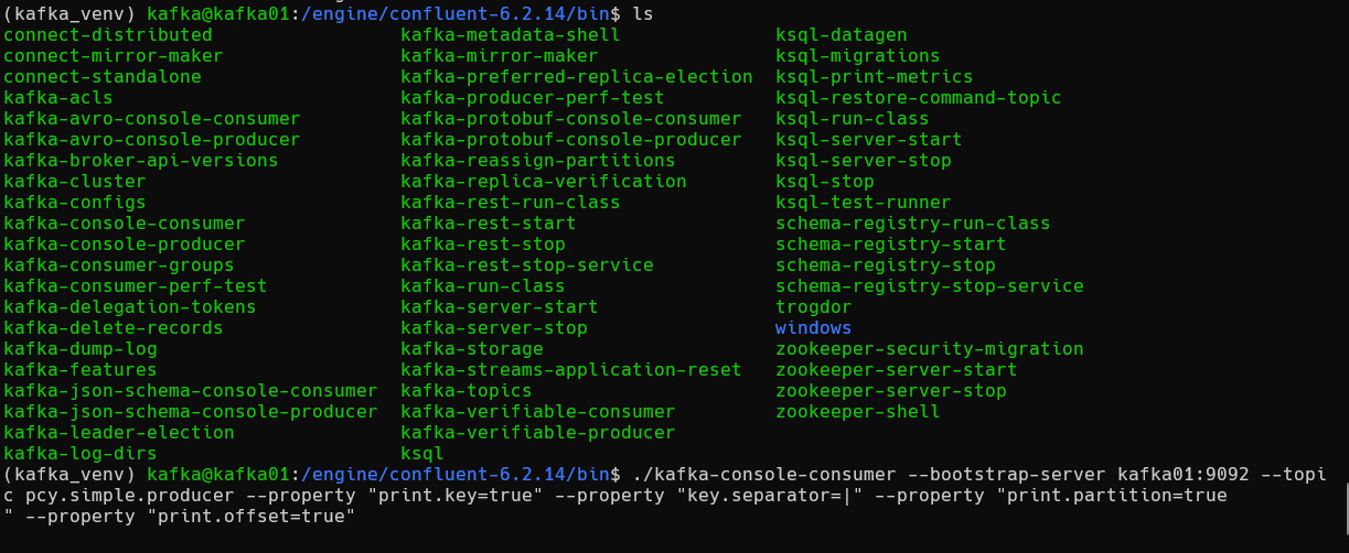 kafka Producer Consumer 비동기처리,produce() poll(), flush() | 찬영’s blog